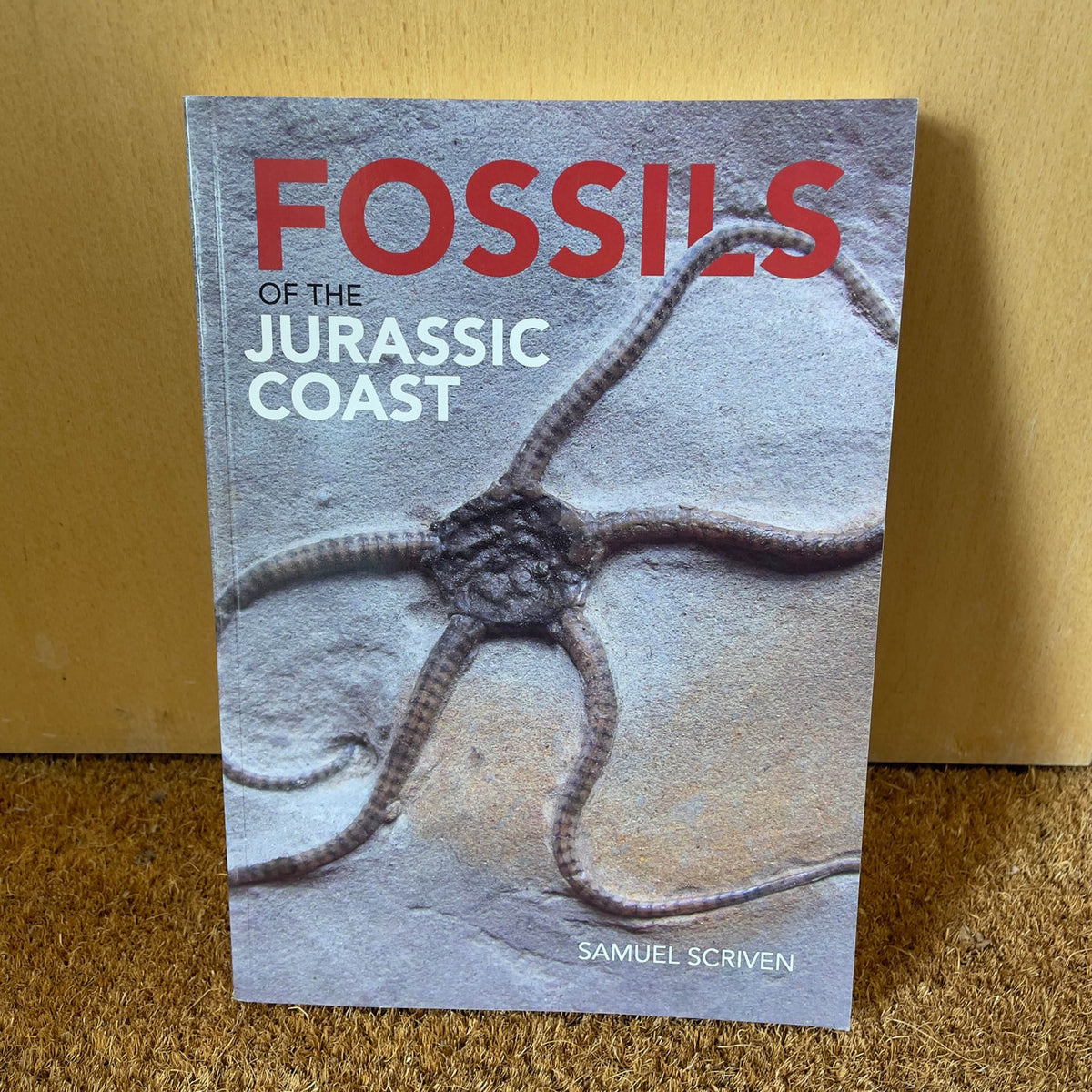 Fossils of the Jurassic Coast book – The Etches Collection Shop