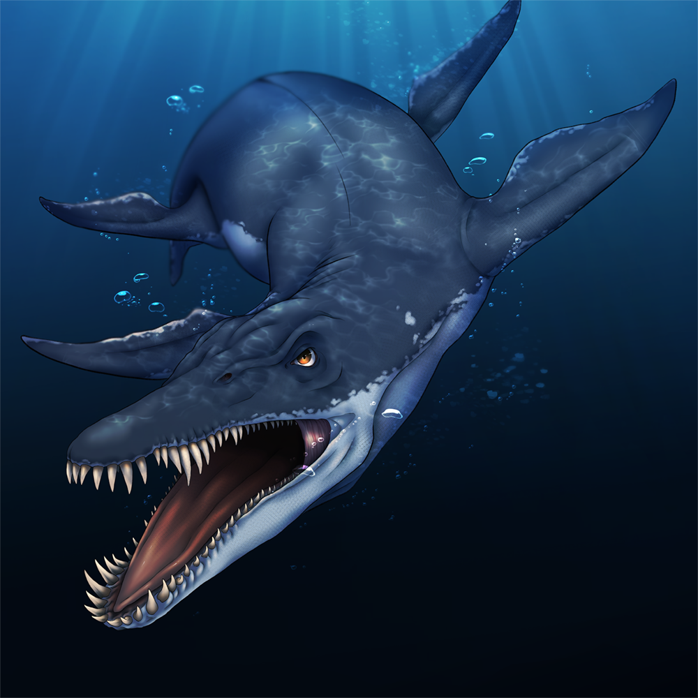 The Sea Rex – The Etches Collection Shop