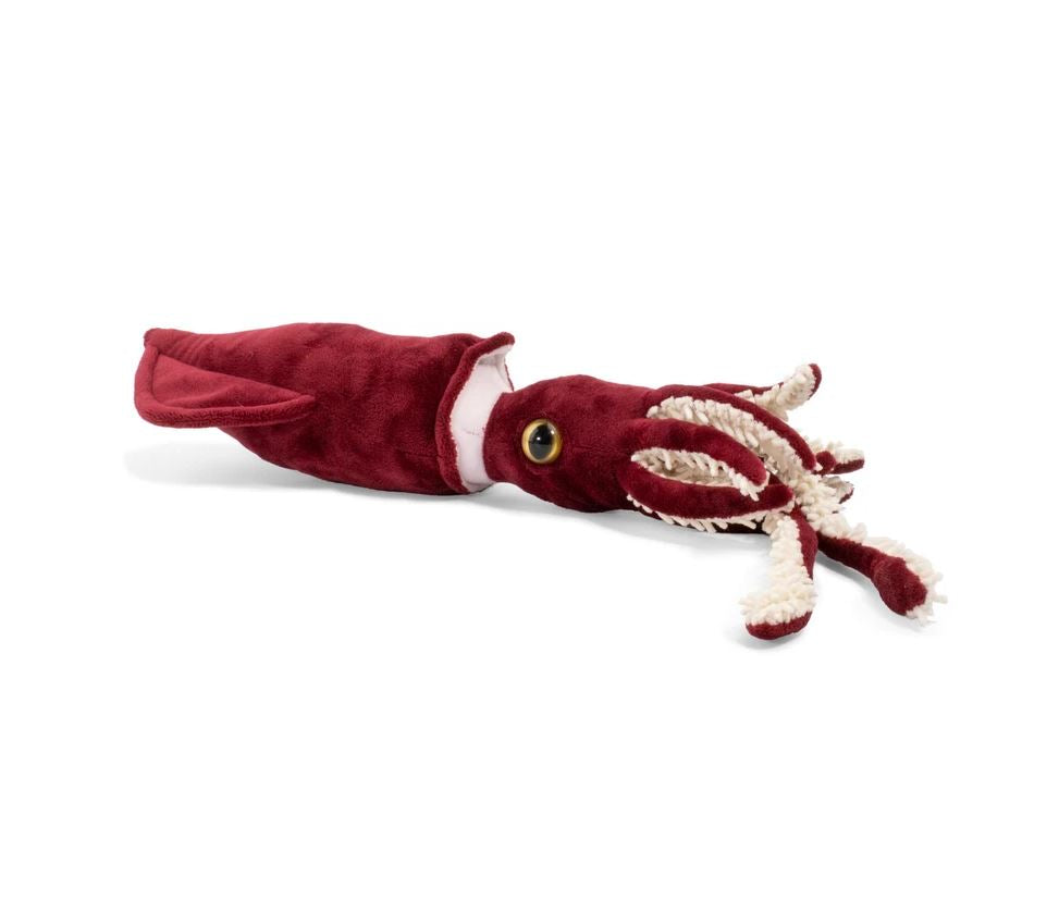 Zappi Plushy Cuttlefish – The Etches Collection Shop