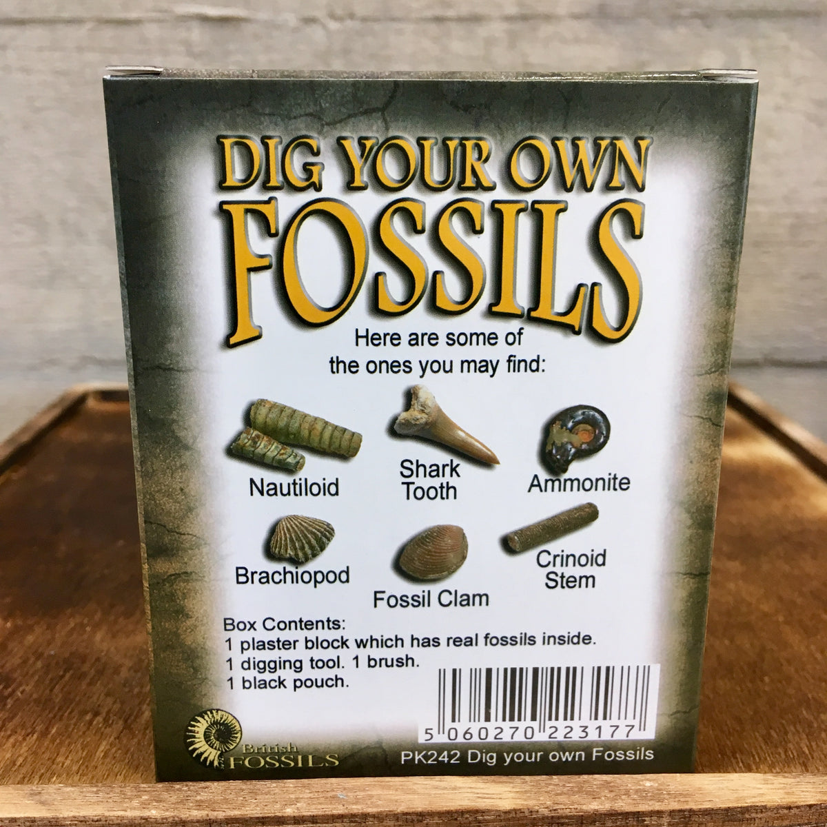 Dig Your Own Fossils - Small pack – The Etches Collection Shop