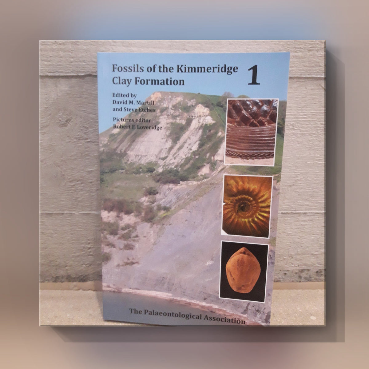 Fossils of the Kimmeridge Clay Formation Volume I – The Etches ...
