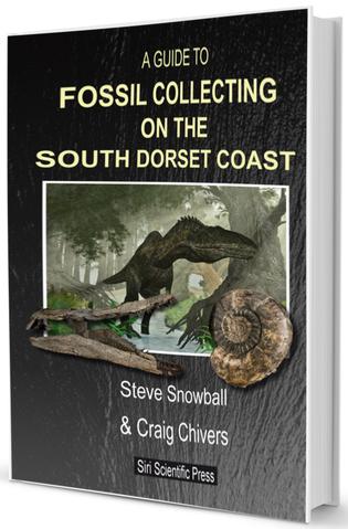 A Guide to Fossil Collecting on the South Dorset Coast – The Etches ...