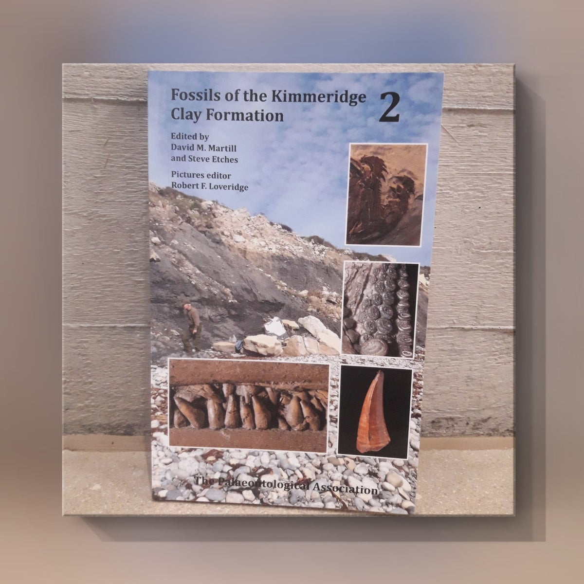 Fossils of the Kimmeridge Clay Formation Volume II – The Etches ...